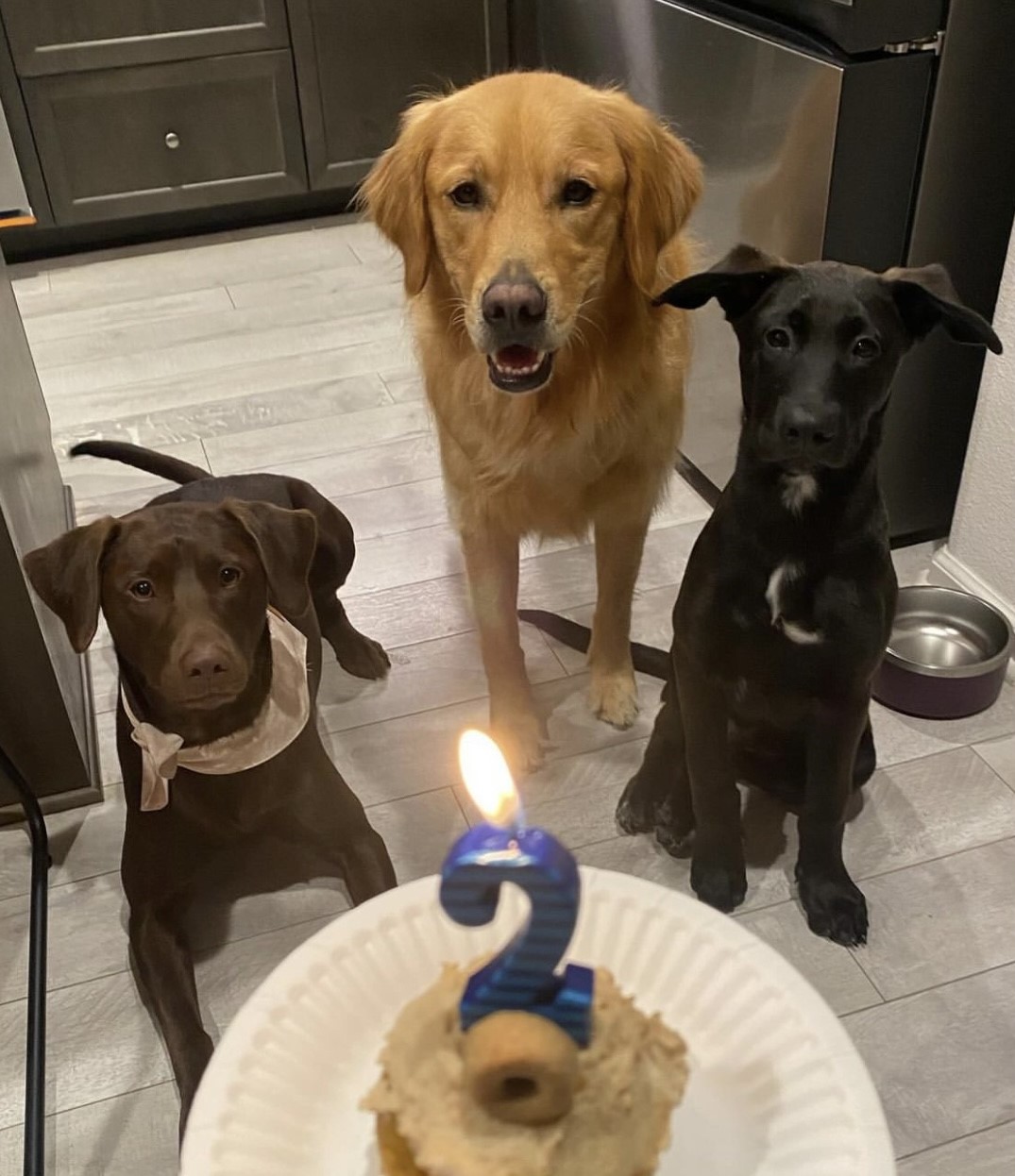 Employee of the Month: Christa VerWayne | Monroe News | OneMonroe